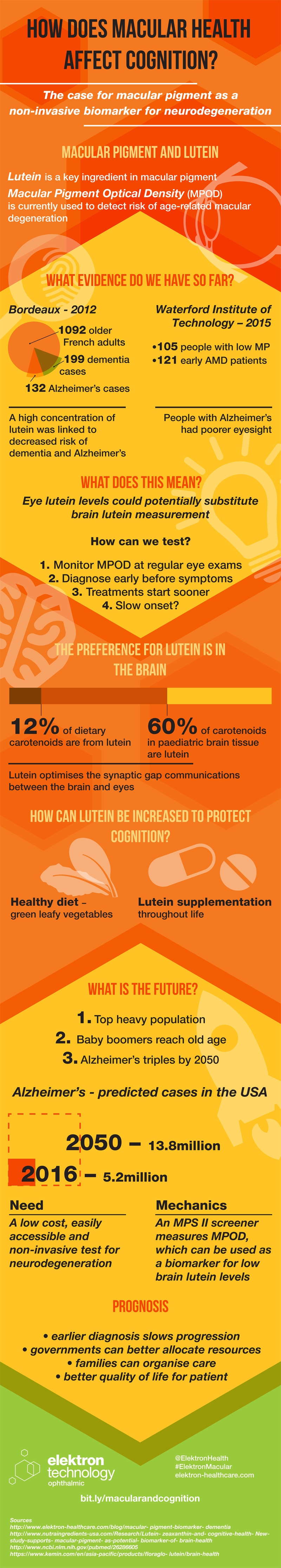 Infographic: how does macular health affect cognition? - IDE-VISION.COM
